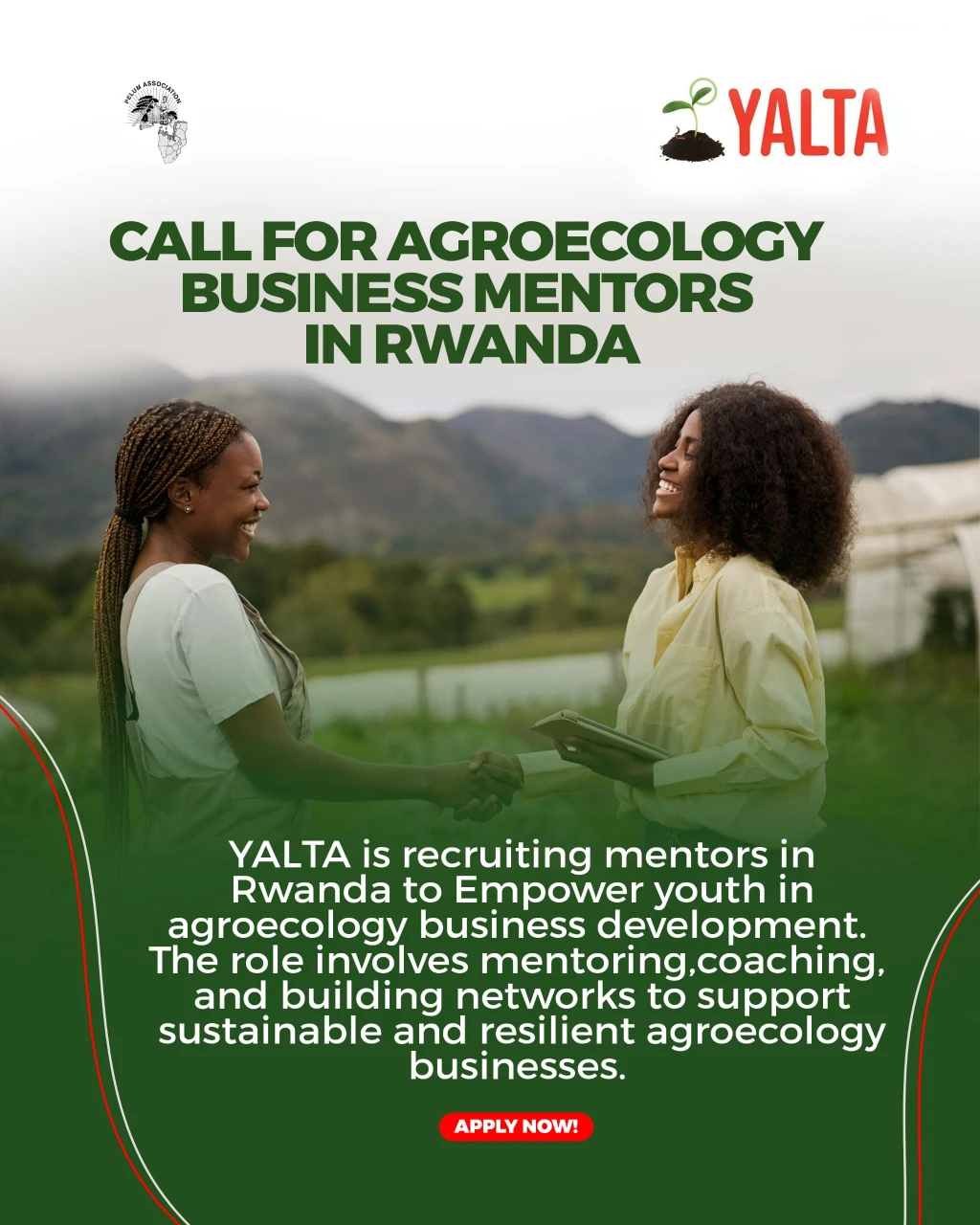 BECOME A YALTA MENTOR AND SHAPE THE FUTURE OF SUSTAINABLE AGRIFOOD SYSTEM.